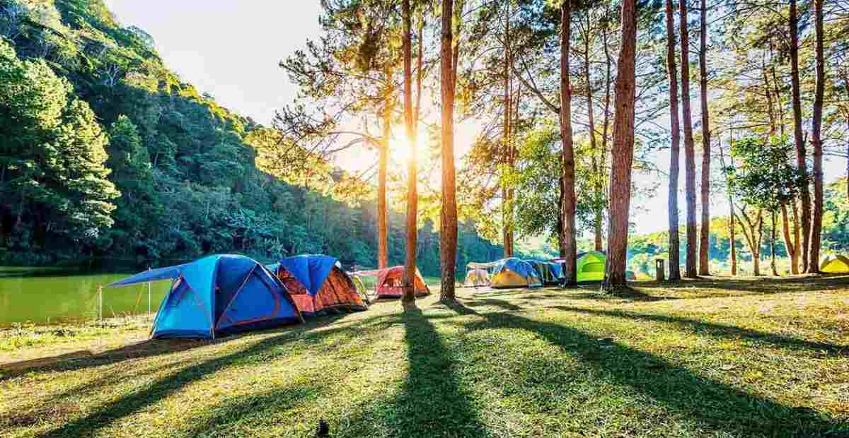 Family Camp di Tengah Hutan Pinus, Rasa Liburan ke Luar Negeri ...