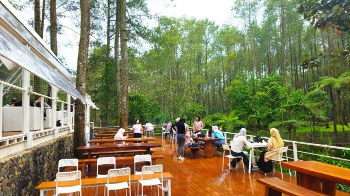 Ngopi di Tengah Hutan Pinus? Ini Cafe Hits di Bandung - Bandung Offroad