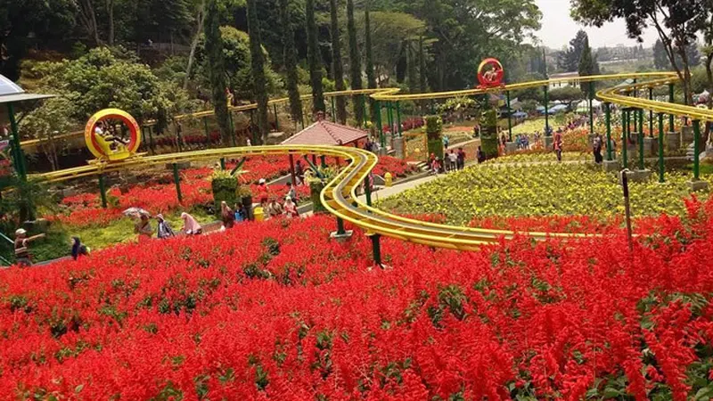 Selecta Flower Garden Batu Malang: Wisata Alam dan Taman Bunga Cantik